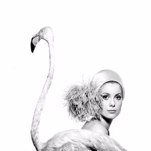 Luca Luca's Closet (@lucalucaluca) | Poshmark